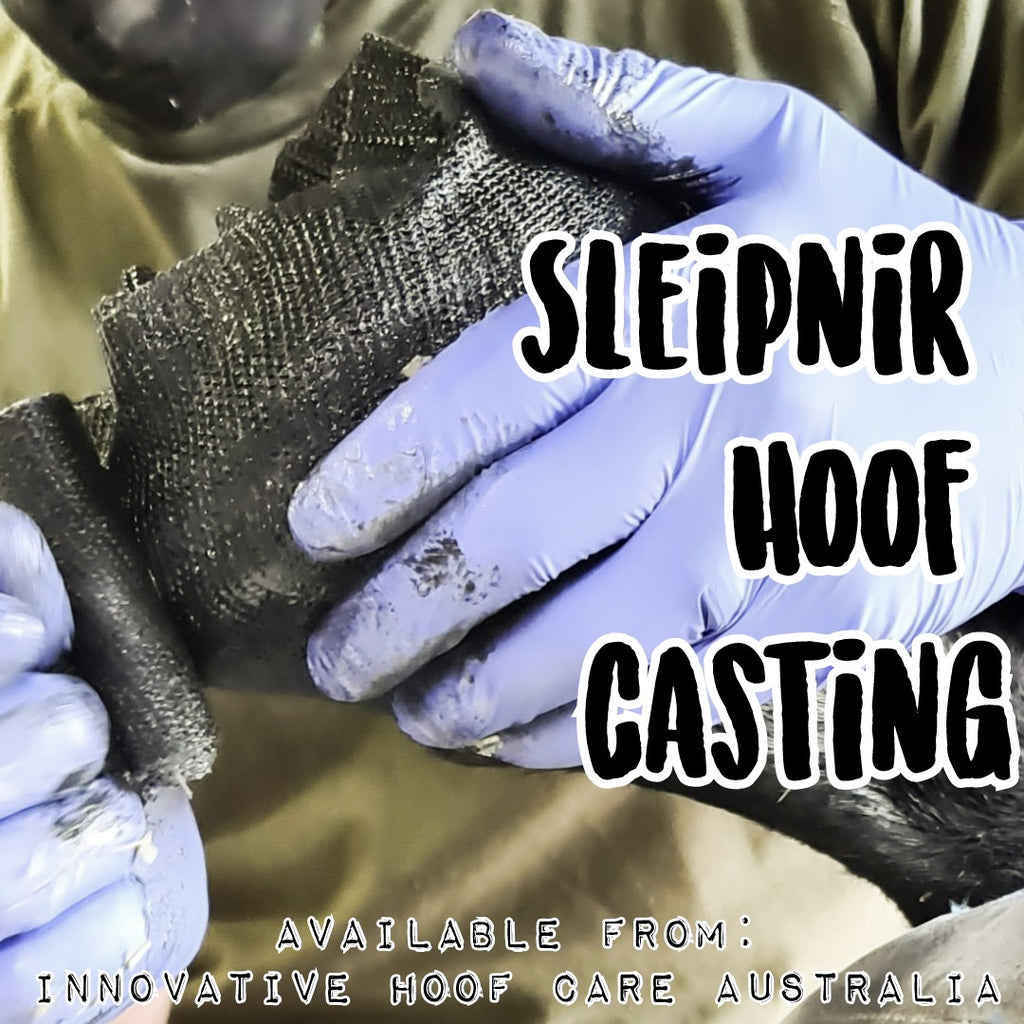 Eldrún Equine - Sleipnir Hoof Casting — Innovative Hoof Care Australia